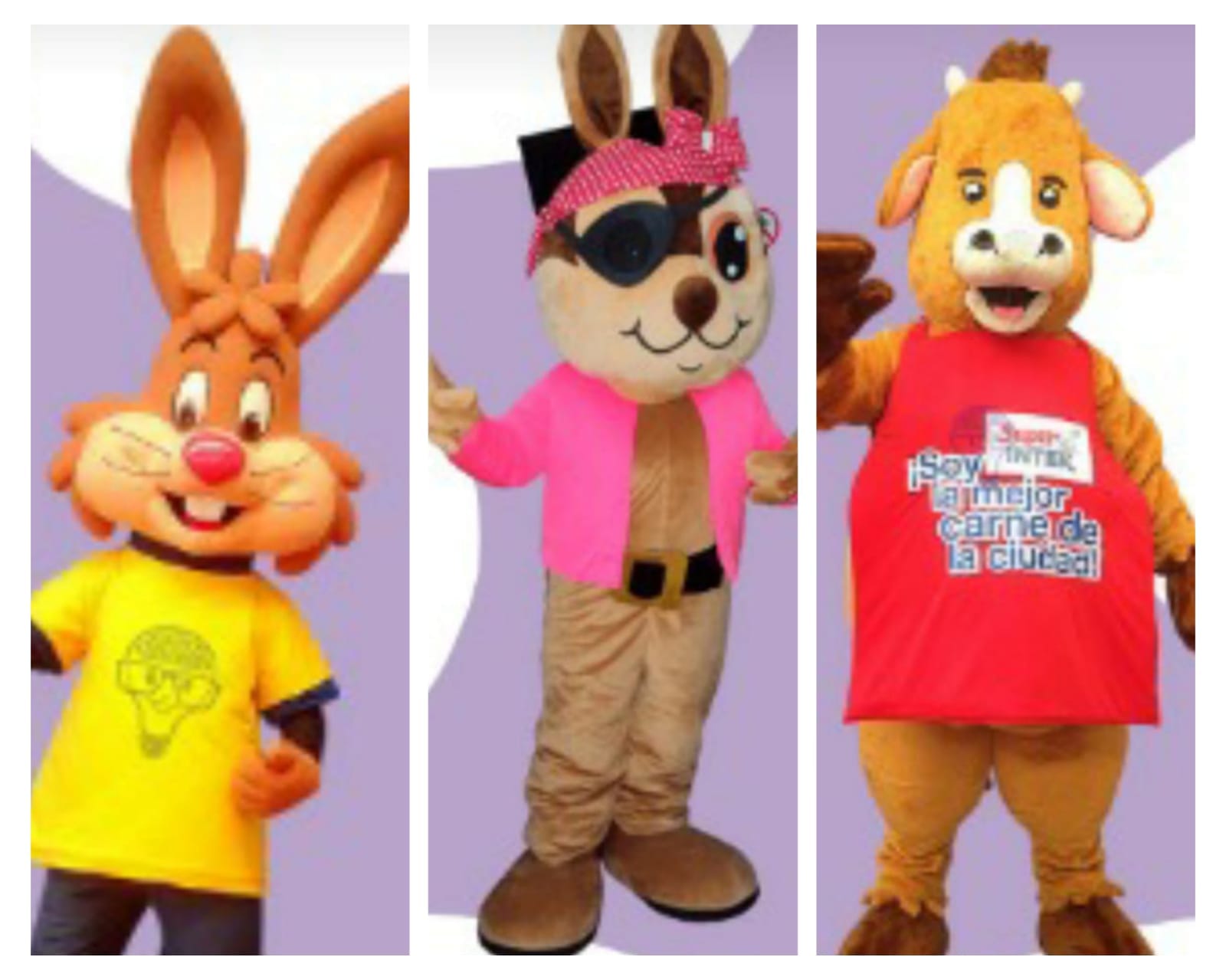 Campañas Publicitarias – Fábrica de Disfraces